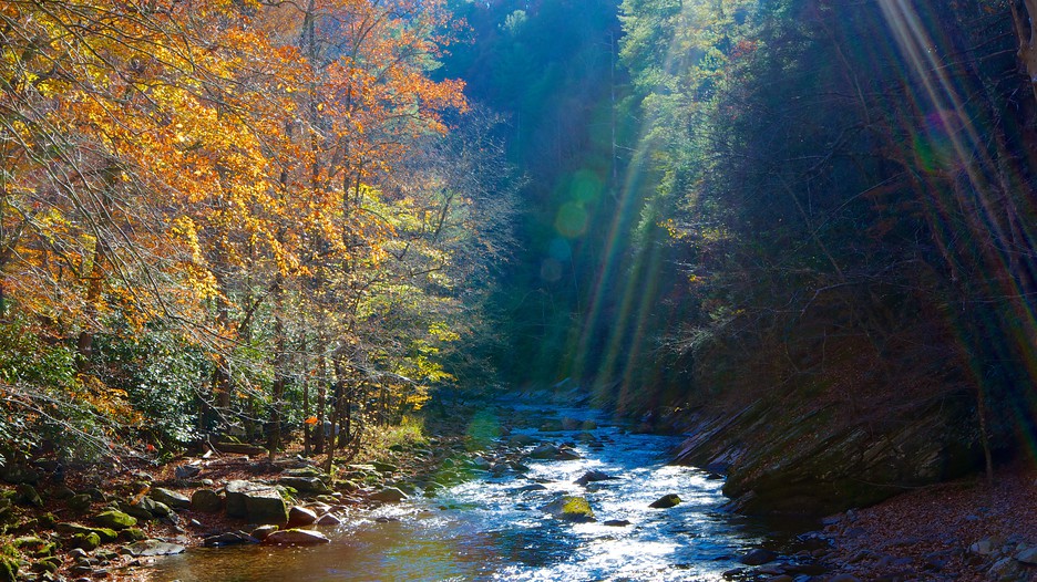 Great Smoky Mountains National Park Vacations: Save up to C$500 on ...