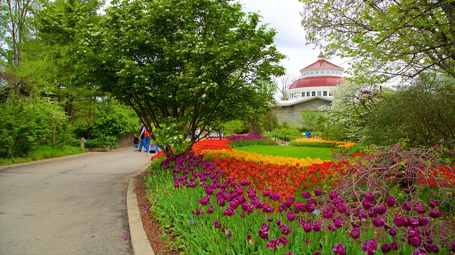Cincinnati Zoo and Botanical Garden in Cincinnati, United States of ...