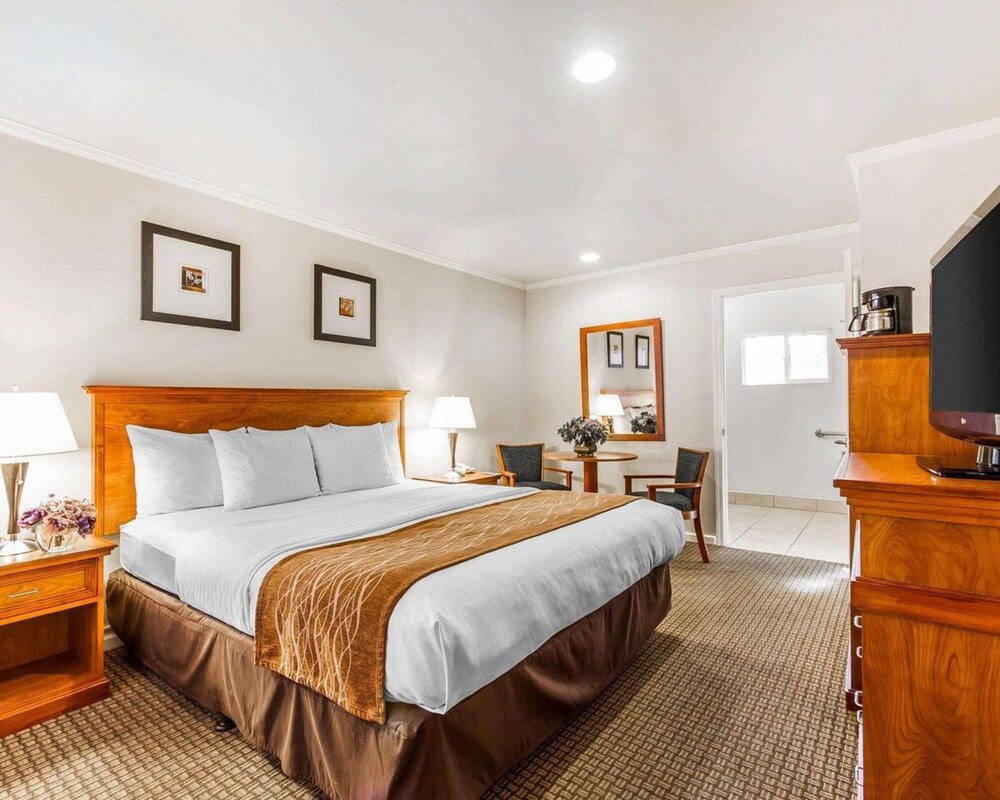 The Inn at 1252 in Monterey | Best Rates & Deals on Orbitz