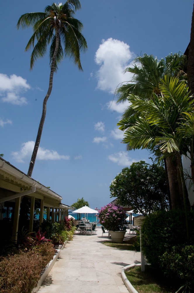 Mango Bay All Inclusive in Holetown | Best Rates & Deals on Orbitz