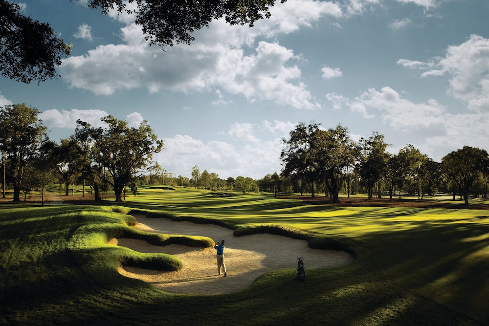 Beau Rivage in Biloxi | Best Rates & Deals on Orbitz