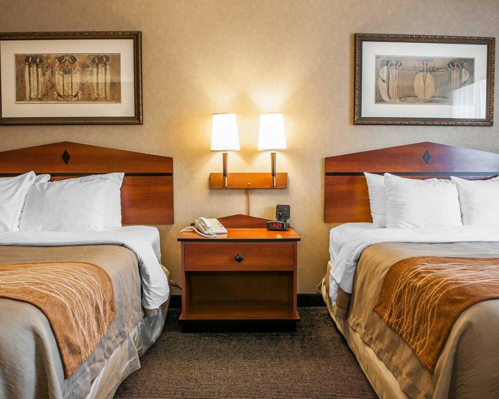 Comfort Inn near Indiana Premium Outlets in Edinburgh | Best Rates ...