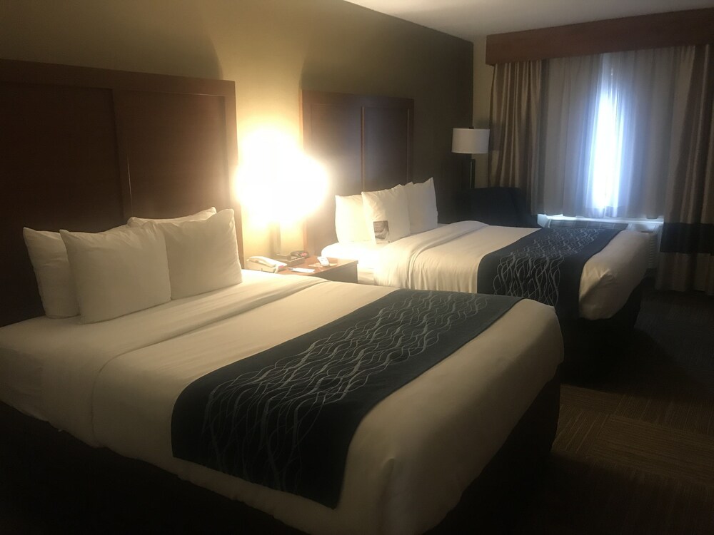 Comfort Inn Edgewater on Hudson River: NZ$316 Deals & Reviews ...