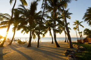 Amara Cay Resort: 2022 Room Prices, Deals & Reviews | Expedia.com