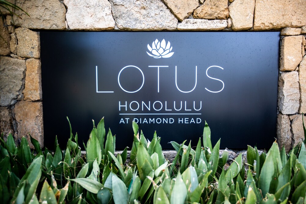 Lotus Honolulu at Diamond Head in Honolulu | Best Rates & Deals on Orbitz