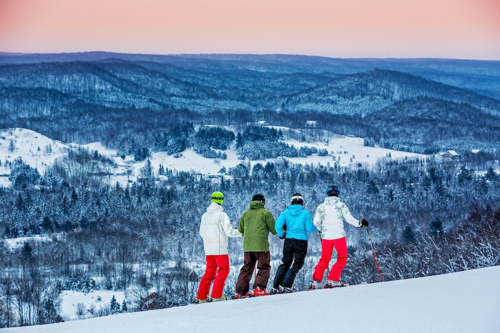 Boyne Mountain Resort in Boyne Falls | Best Rates & Deals on Orbitz