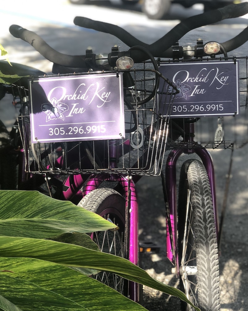 Orchid Key Inn - Adults Only in Key West | Best Rates & Deals on Orbitz