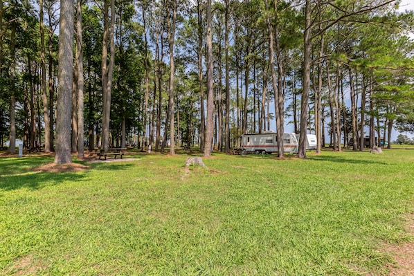 Virginia Landing RV Campground in Quinby, VA | Expedia