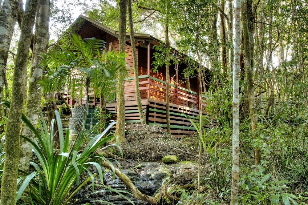 The Mouses House Rainforest Retreat in Springbrook | Best Rates & Deals ...