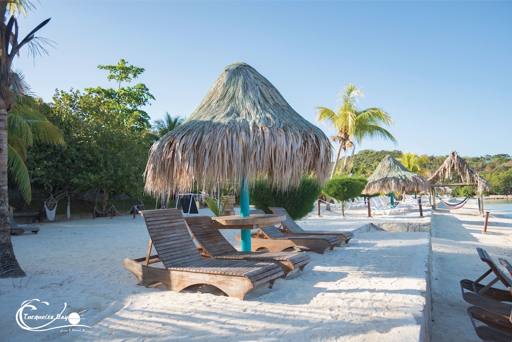 Turquoise Bay Dive & Beach Resort, Roatan: Room Prices & Reviews ...