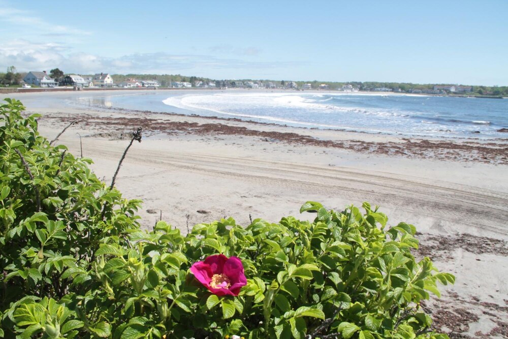 The Rhumb Line Resort, Kennebunkport: $119 Room Prices & Reviews ...