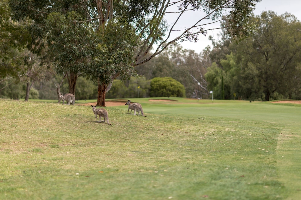 Bridges Villas at Cobram Barooga Golf Club Deals & Reviews (Barooga ...