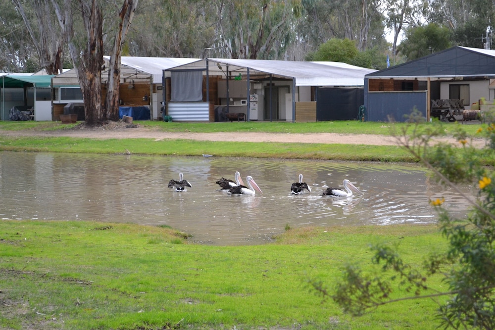 Time Out Holiday Park, Australia | Australian Accommodation