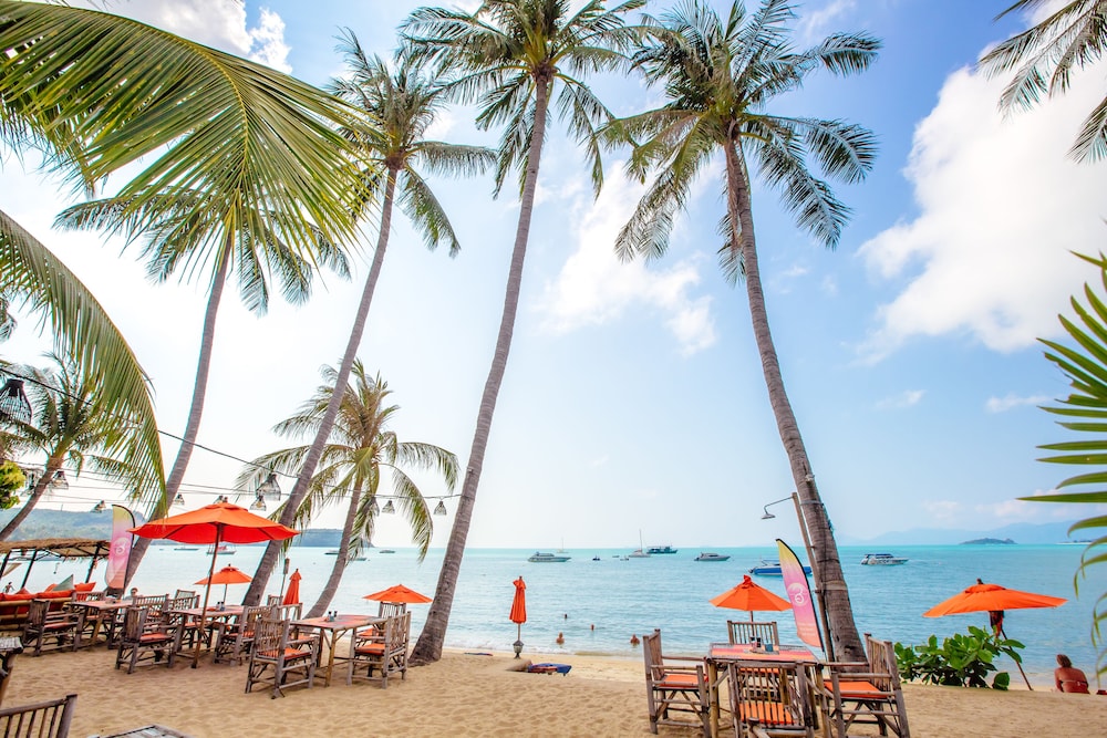 Secret Garden Beach Resort in Koh Samui | $38 Best Rates & Deals on Orbitz