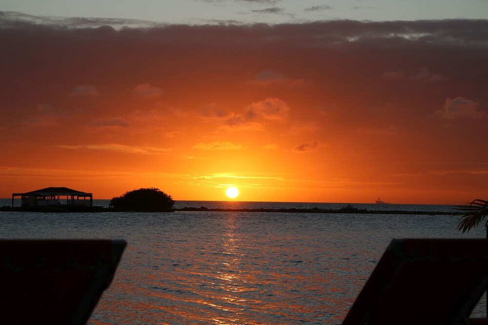 Coral Reef Beach Aruba in Savaneta | Best Rates & Deals on Orbitz