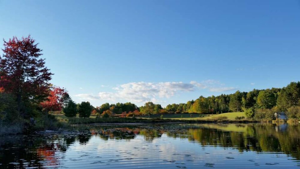 Barry's Bay Golf Resort in Madawaska Valley | Best Rates & Deals on Orbitz