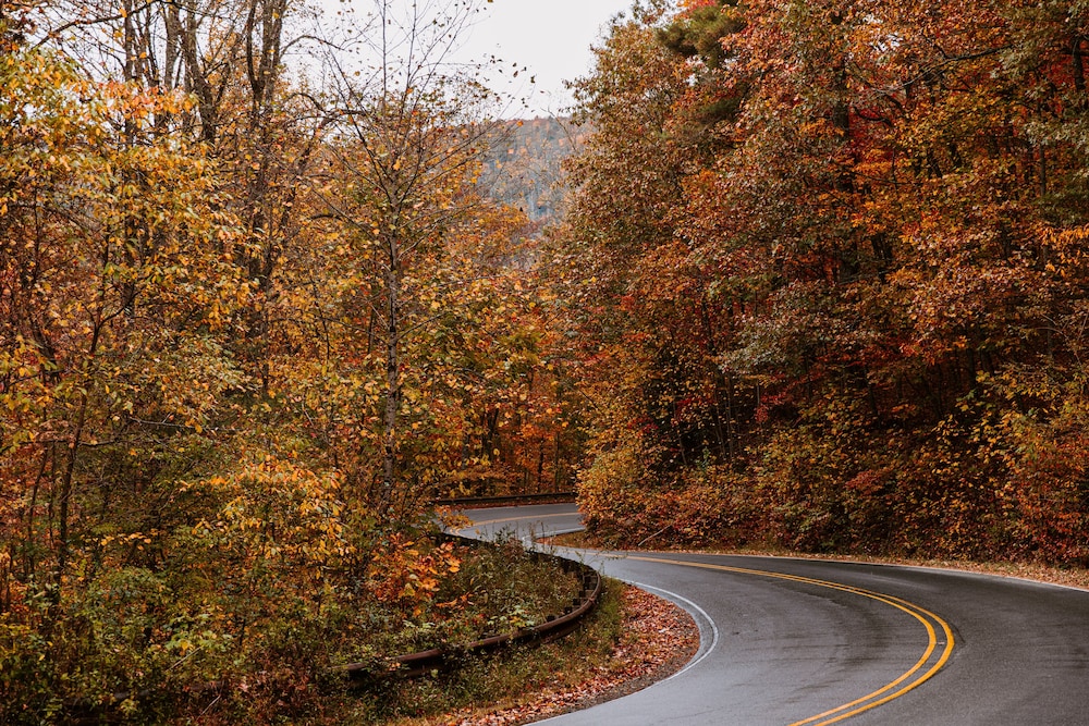 Highlander Mountain House in Highlands | Best Rates & Deals on Orbitz