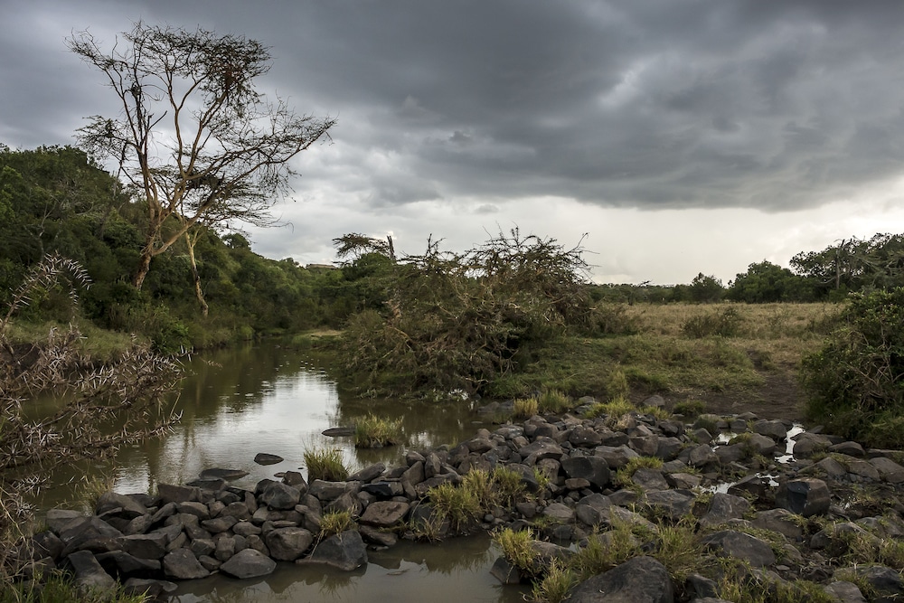 Mutara Camp in Nanyuki | Best Rates & Deals on Orbitz