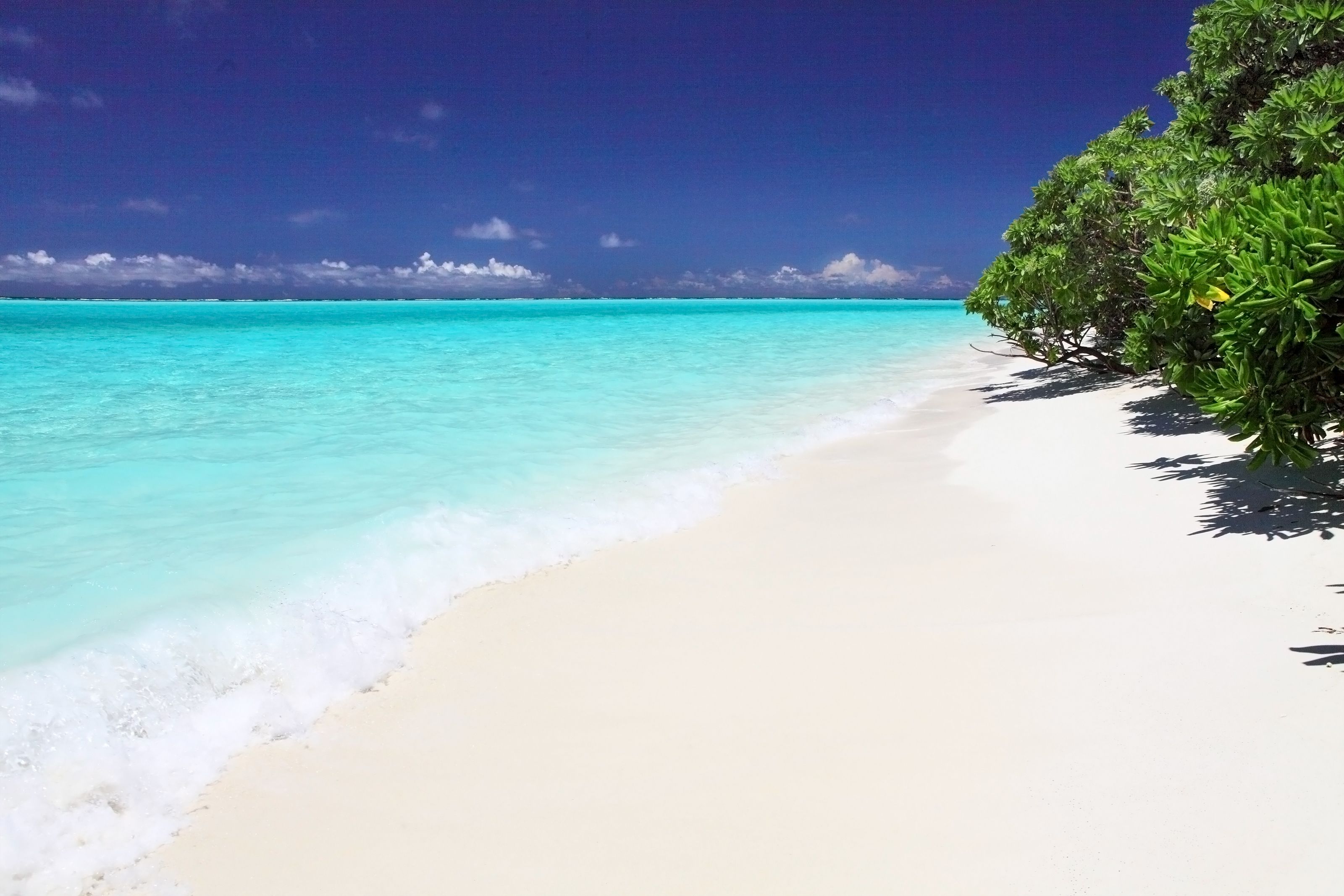 Thoddoo Island Maldives: Agricultural Paradise on a Budget | Maldives ...