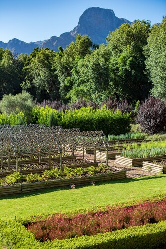 Find & Book the Best Hotels in South Africa for 2023 | Expedia