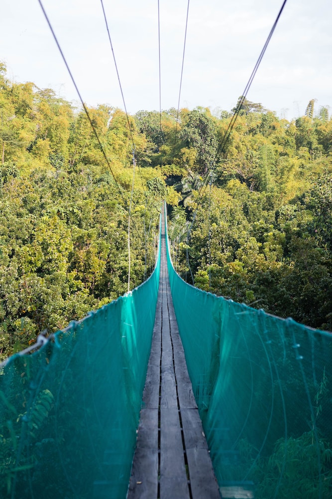 Damires Hills Tierra Verde, Janiuay: Room Prices & Reviews | Travelocity