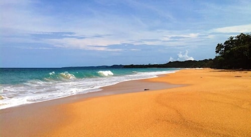 Playa Bluff Hotel in Bocas del Toro | Best Rates & Deals on Orbitz