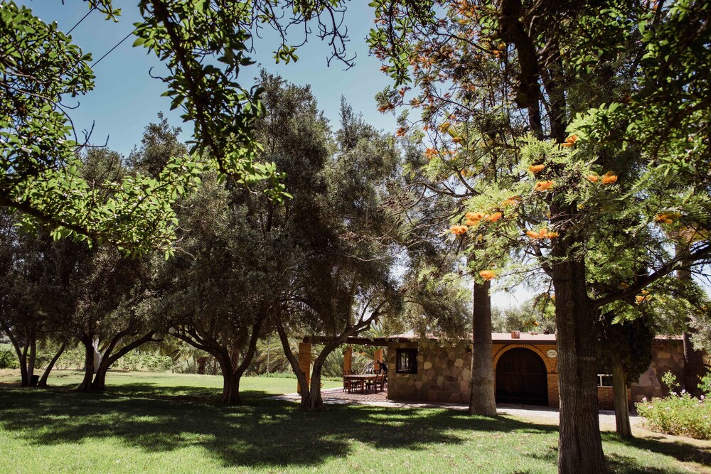 Rancho Toros Pintos in Valle de Guadalupe | Best Rates & Deals on Orbitz