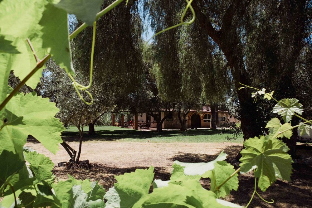 Rancho Toros Pintos in Valle de Guadalupe | Best Rates & Deals on Orbitz