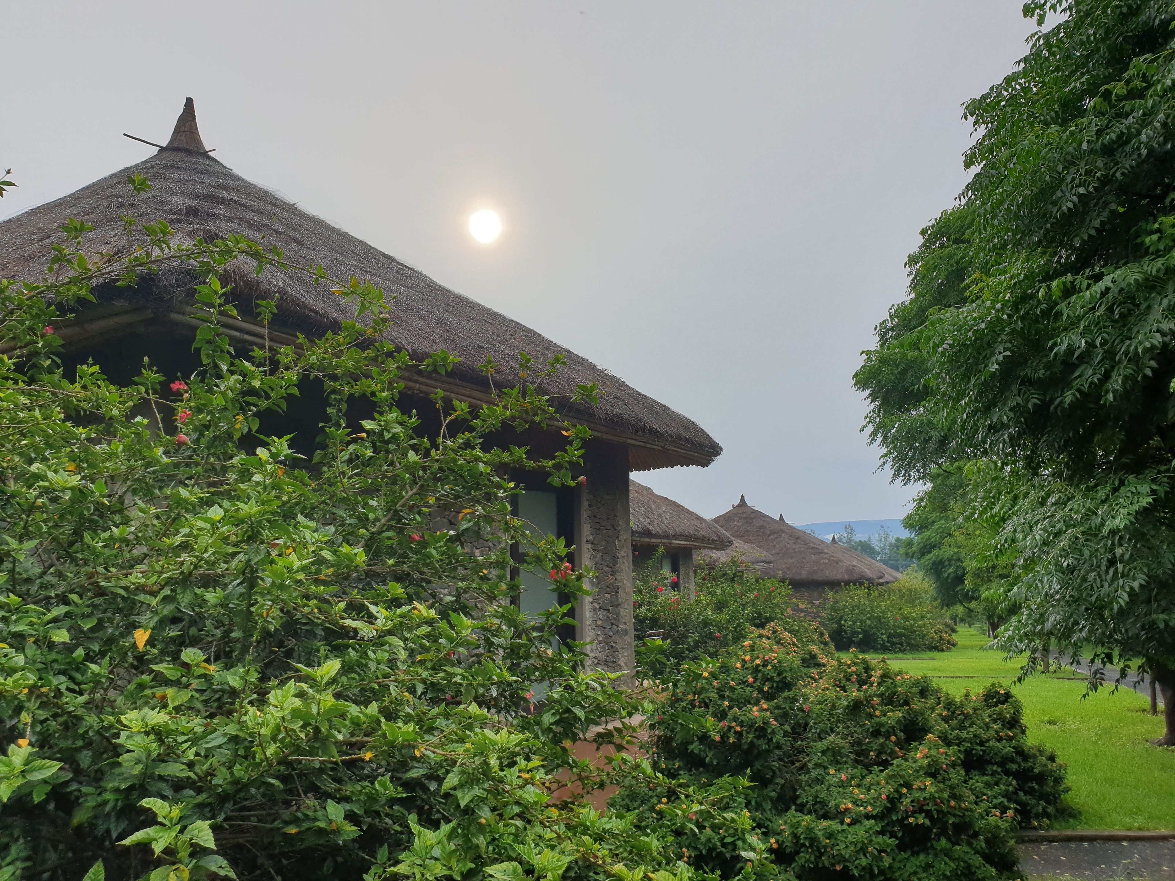 Goha Hotel Reviews, Deals & Photos 2022 - Expedia