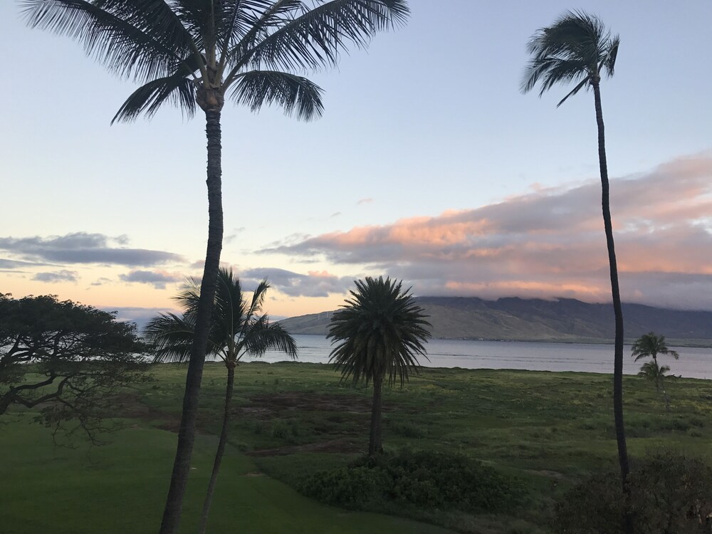 Stunning Remodeled 2BD/2BA Oceanview Condo - Kihei | Vrbo