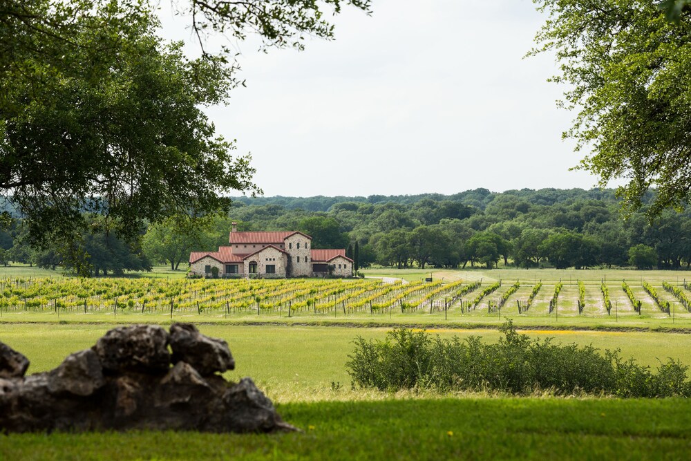 The Vineyard at Florence, Florence: 2020 Room Prices & Reviews ...