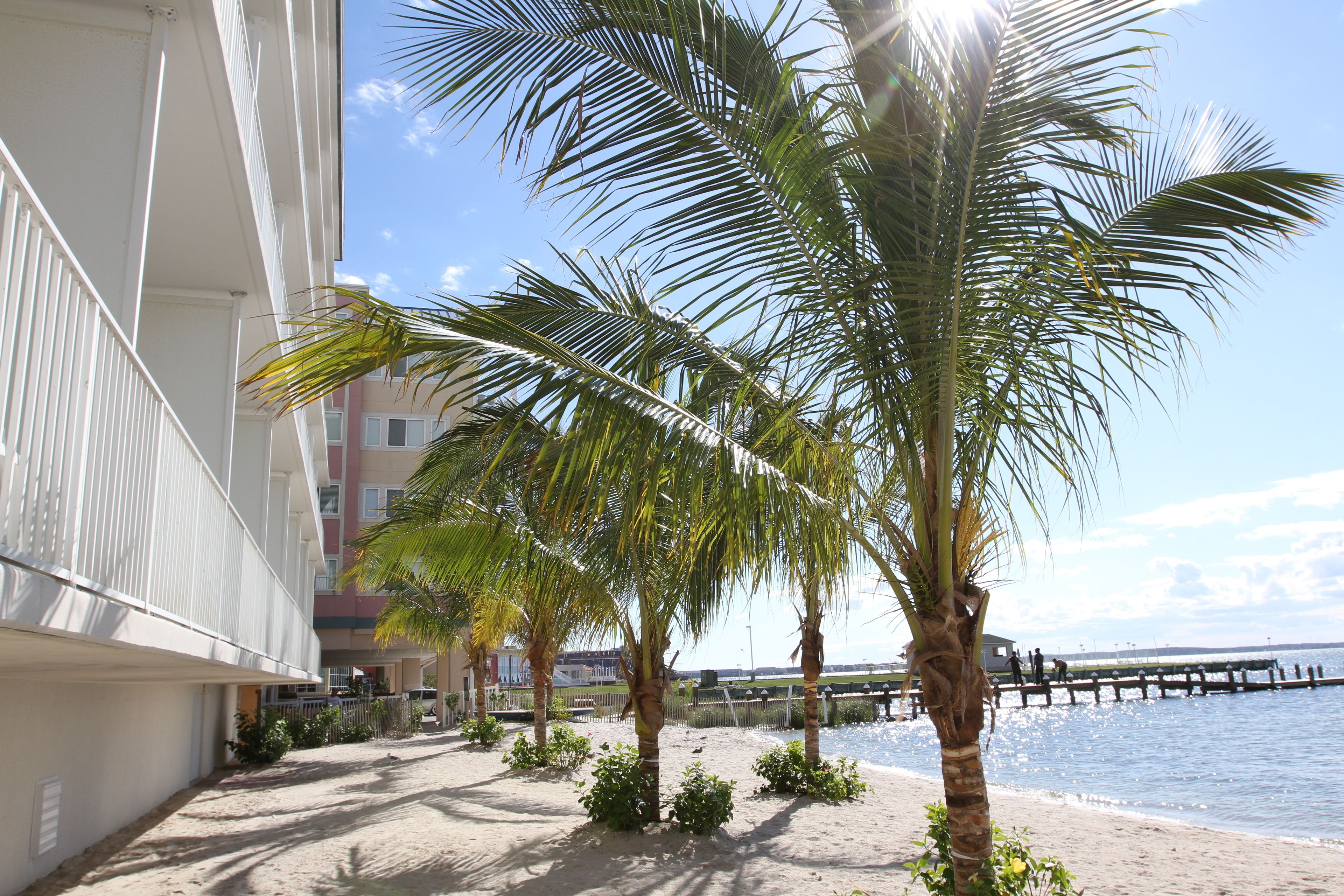 Princess Bayside Beach Hotel in Ocean City, MD | Expedia