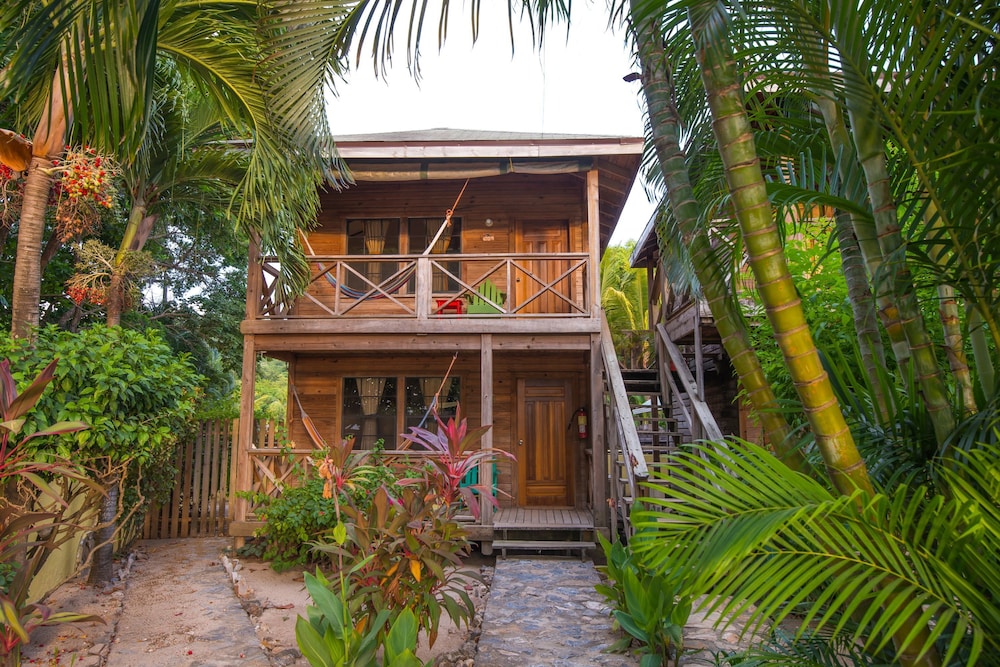 Las Rocas Resort And Dive Center, Roatan: Room Prices & Reviews ...