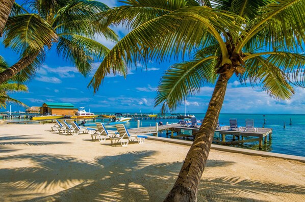 Sunbreeze Suites in San Pedro, Belize | Expedia