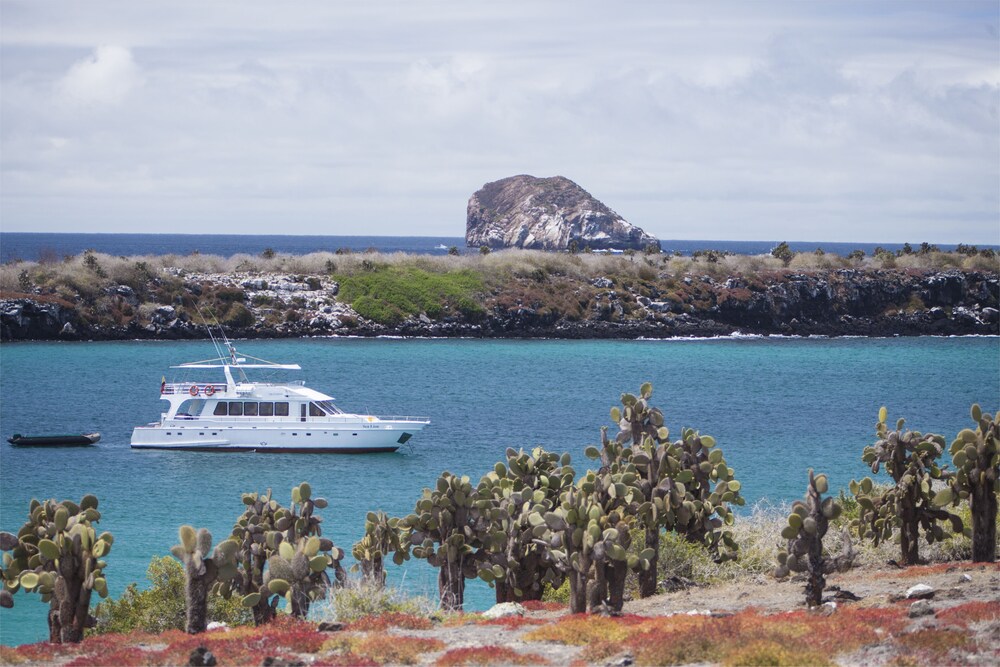 Finch Bay Galapagos Hotel in Puerto Ayora | Best Rates & Deals on Orbitz