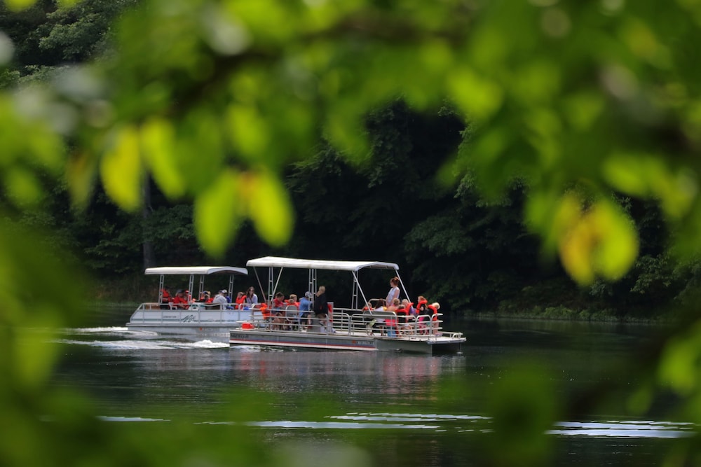 Greenbo Lake State Resort Park in Argillite | Best Rates & Deals on Orbitz