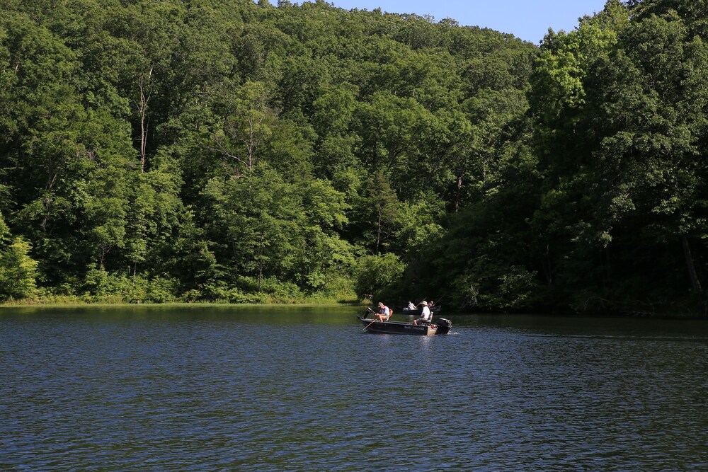 Greenbo Lake State Resort Park in Argillite | Best Rates & Deals on Orbitz