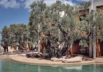 Olea All Suite Hotel: Deals & Reviews (Greek Islands, GRC) | Wotif