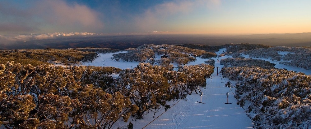 Labertouche Gypsy Creek Winery, Australia | Australian Accommodation