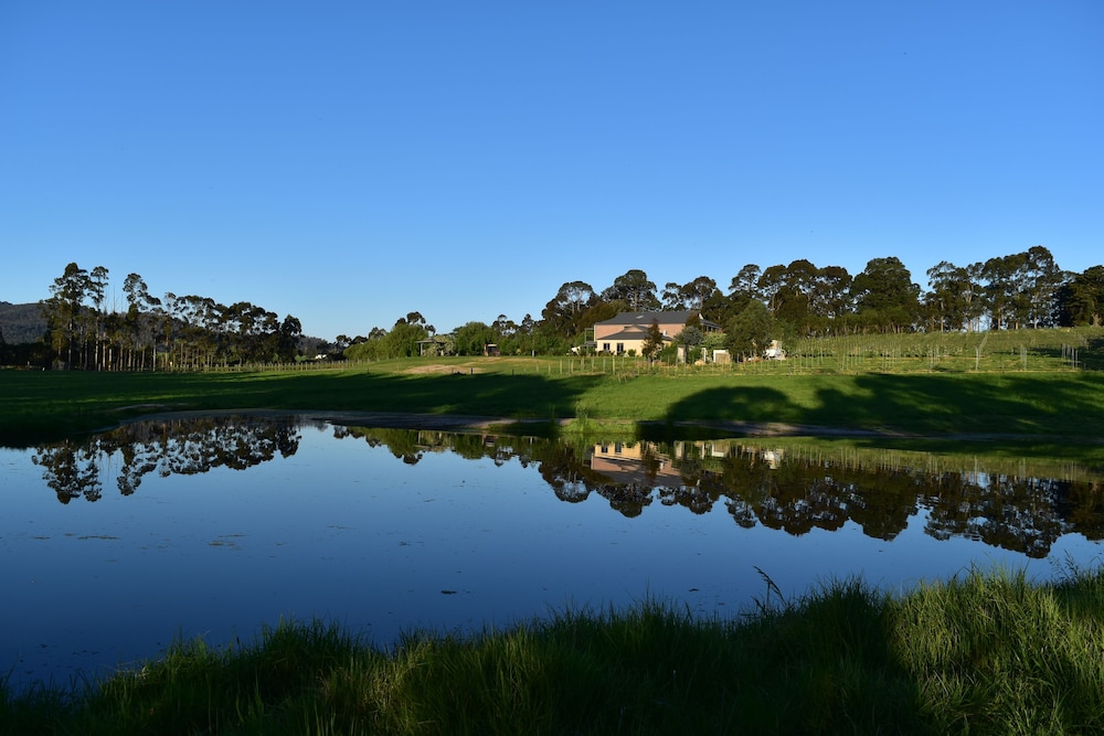 Labertouche Gypsy Creek Winery, Australia | Australian Accommodation