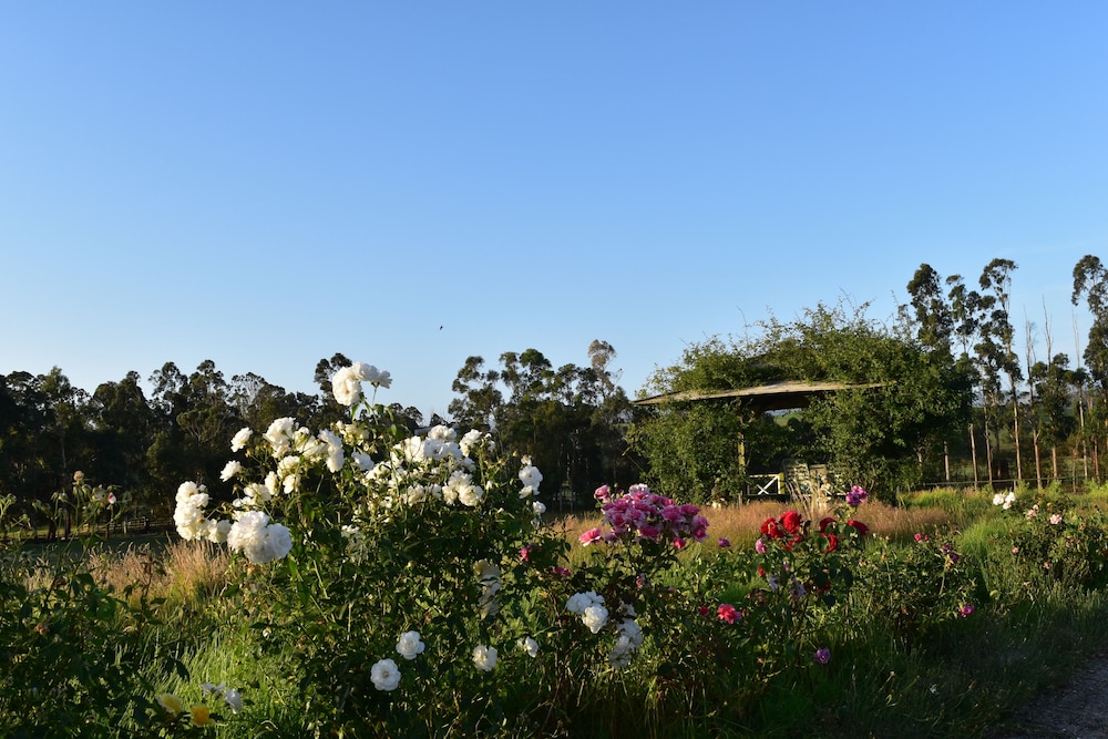 Labertouche Gypsy Creek Winery, Australia | Australian Accommodation