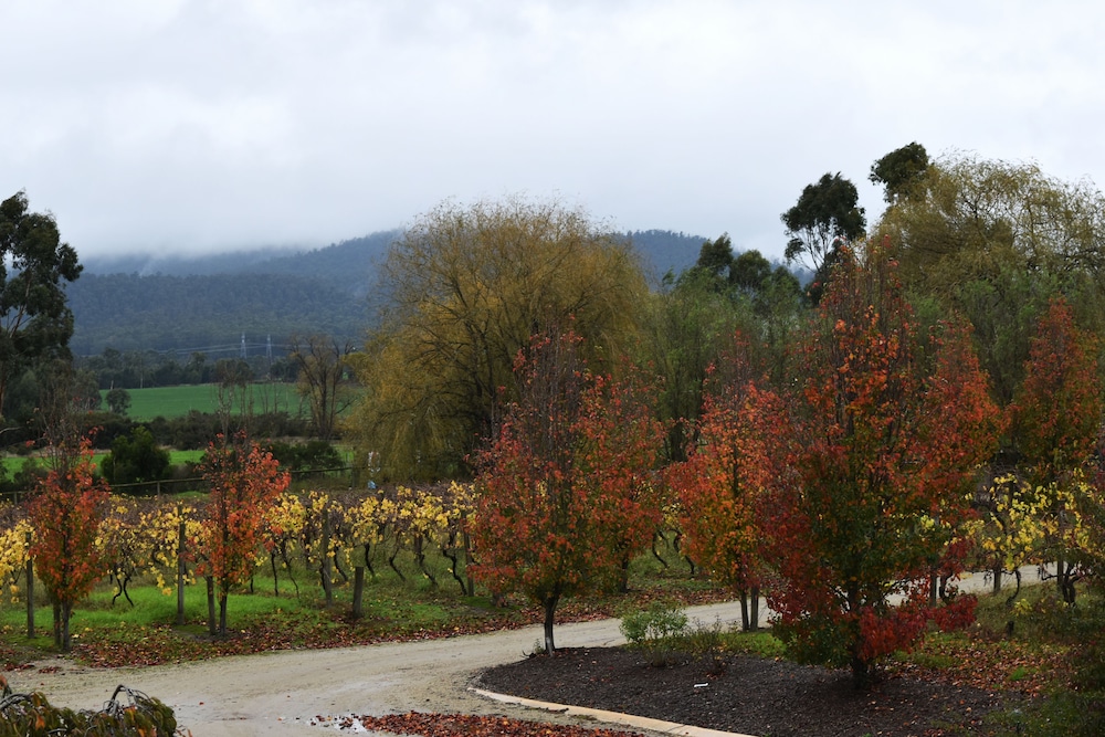 Labertouche Gypsy Creek Winery, Australia | Australian Accommodation