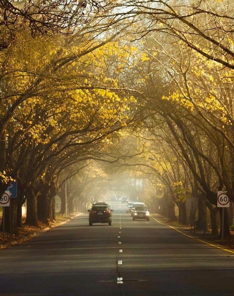 Stables Boutique Motel Deals & Reviews (Adelaide, AUS) | Wotif