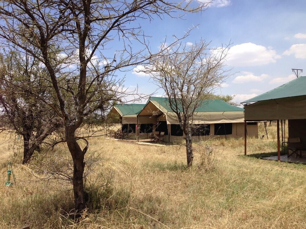 Angata Migration Camp in Serengeti | Best Rates & Deals on Orbitz