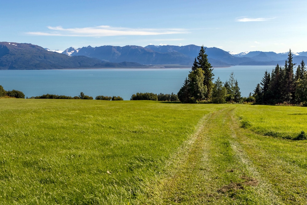 Eagles rest at the Kilcher Family Homestead in Alaska The Last Frontier ...