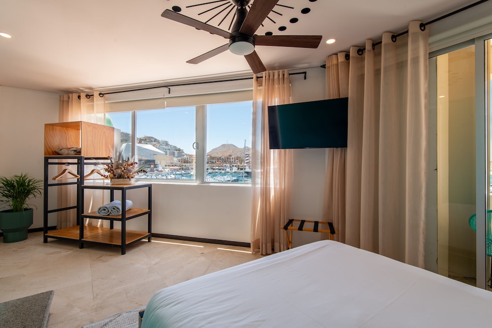 Mayan Monkey Los Cabos - Hostel in Cabo San Lucas | Best Rates & Deals ...