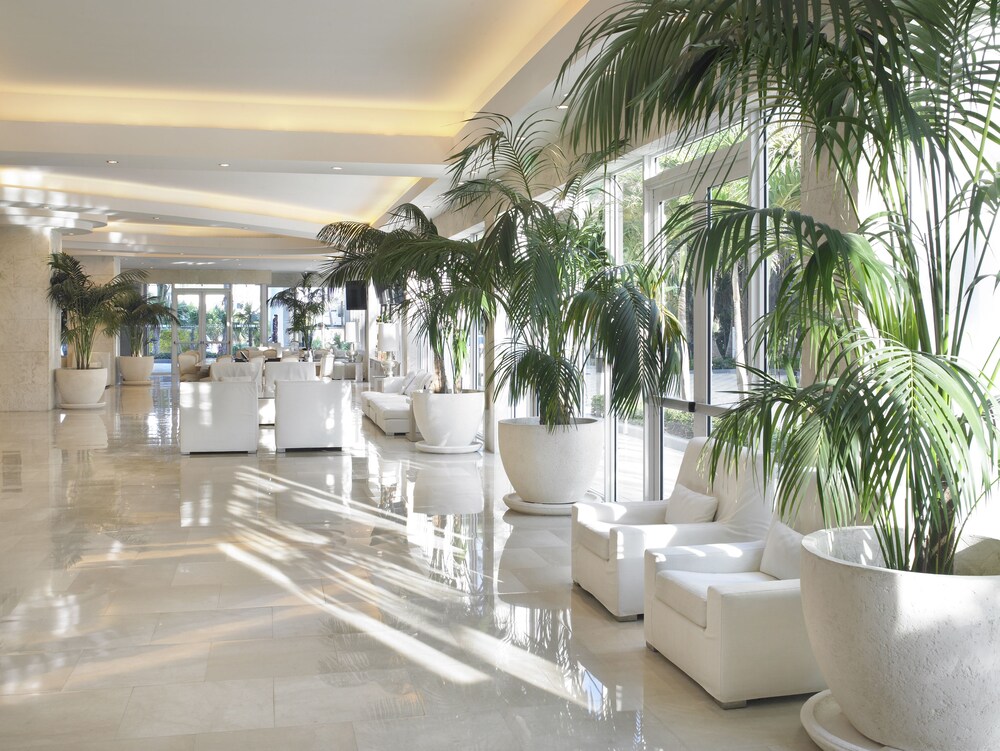 8 Kosher & Jewish Observant-Friendly Hotels In Miami Beach, | Trip101