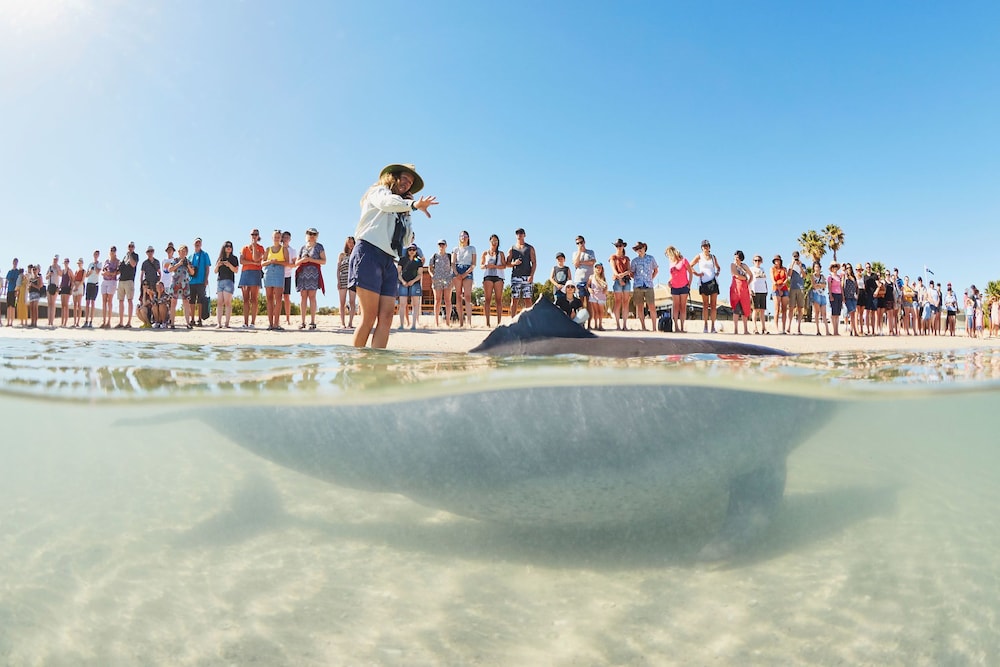 RAC Monkey Mia Dolphin Resort Deals & Reviews (Monkey Mia, AUS) | Wotif