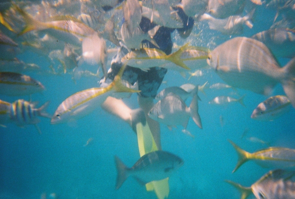 One of the Best Private Beaches in US! Great Location fun activities ...