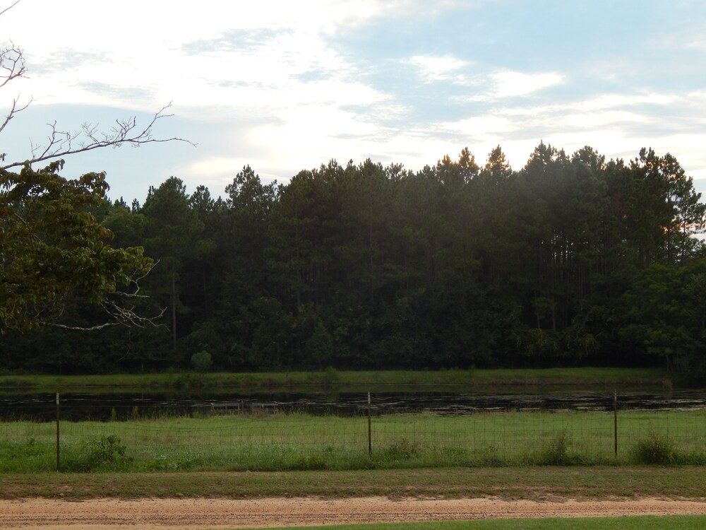Hillbilly Hut of South Georgia : AU$150 Deals & Reviews (Pitts, USA ...